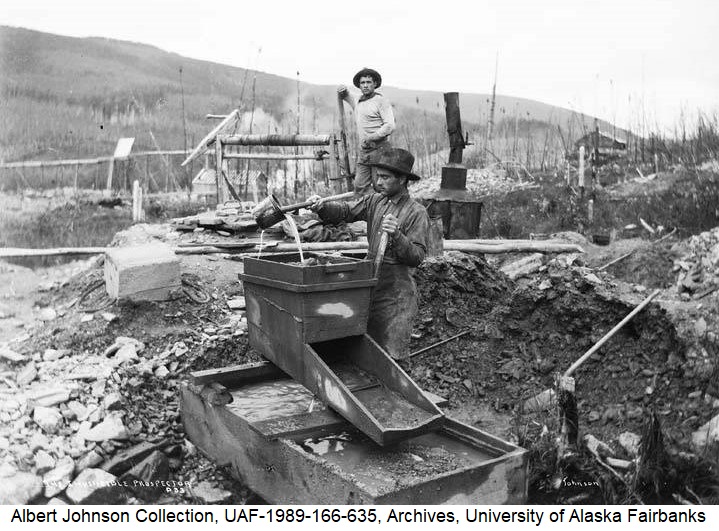 About Irene – Irene Sherman Project